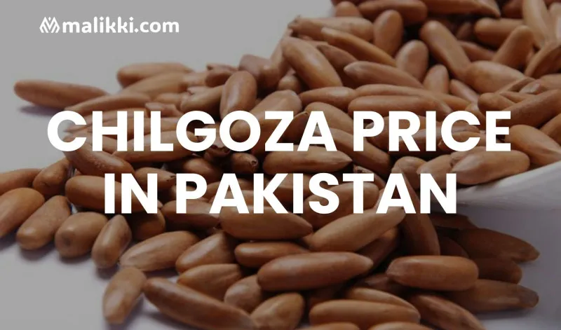 Heavy Bike Prices in Pakistan | Malikki.com | Malikki.com